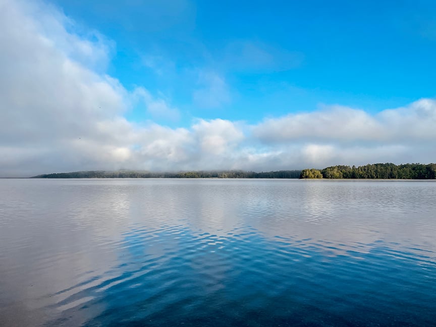 Local Views to Inspire Any Artist